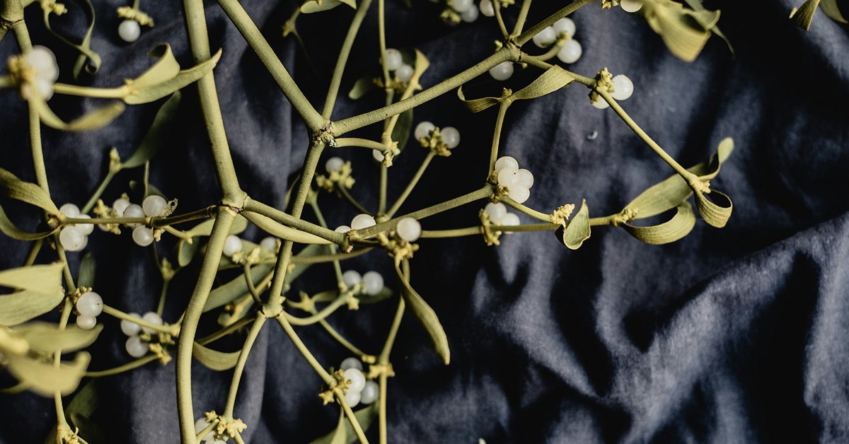 Mistel | Beautypedia