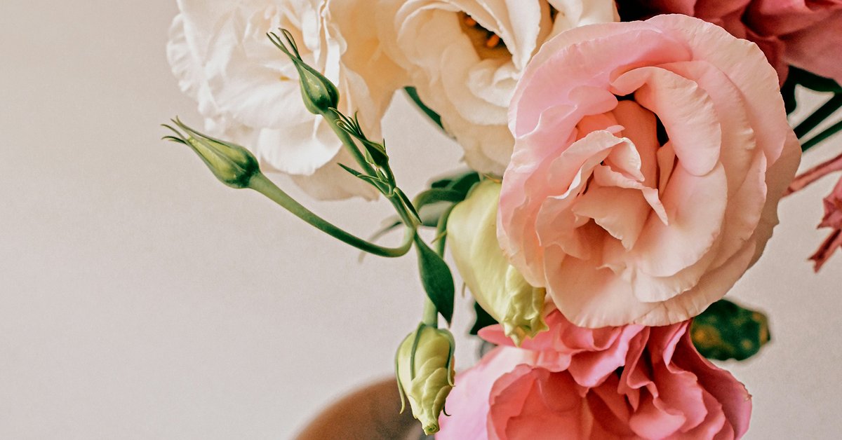 Blumig | Beautypedia